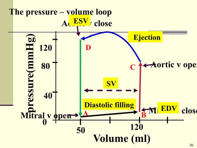 Cardiac Cycle, Heart Sounds, Cardiac Murmur. Physiology pptx | PPT