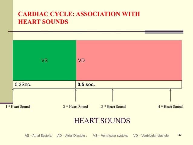 Cardiac Cycle, Heart Sounds, Cardiac Murmur. Physiology pptx | PPT