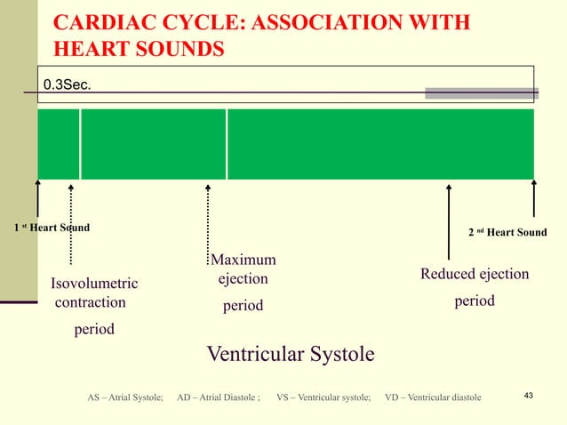 Cardiac Cycle, Heart Sounds, Cardiac Murmur. Physiology pptx | PPT