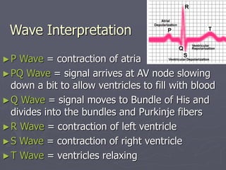 cardiac_cycle.ppt