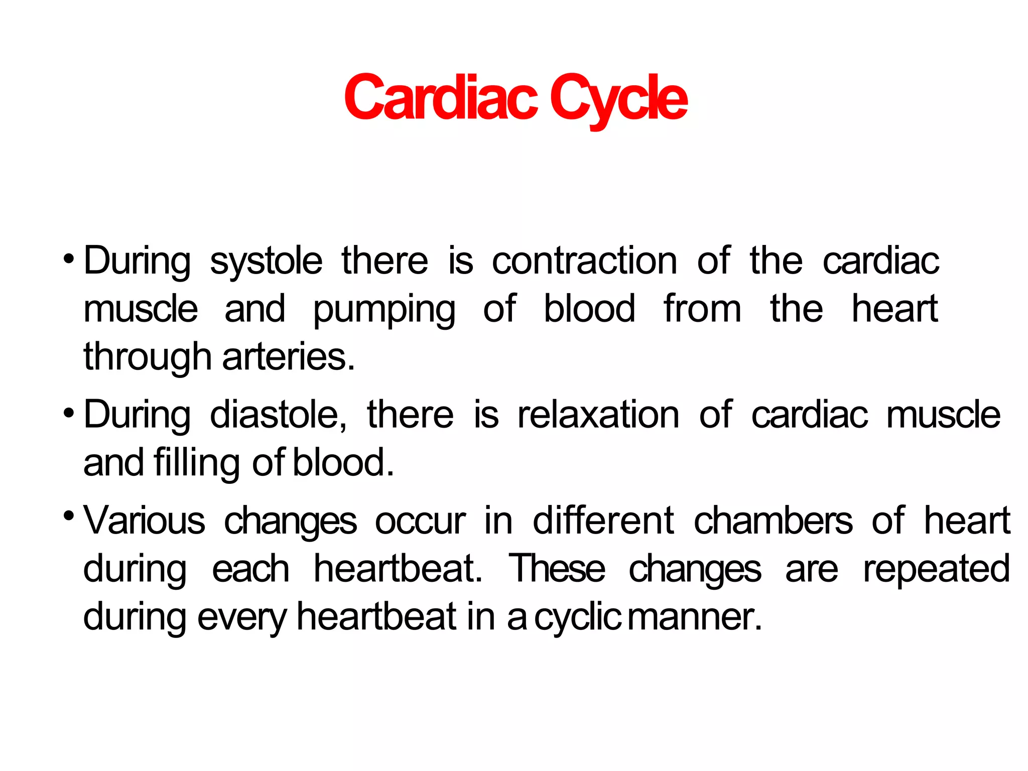 Cardiaccyclephysiology4dpt 140126025440-phpapp02 | PPT