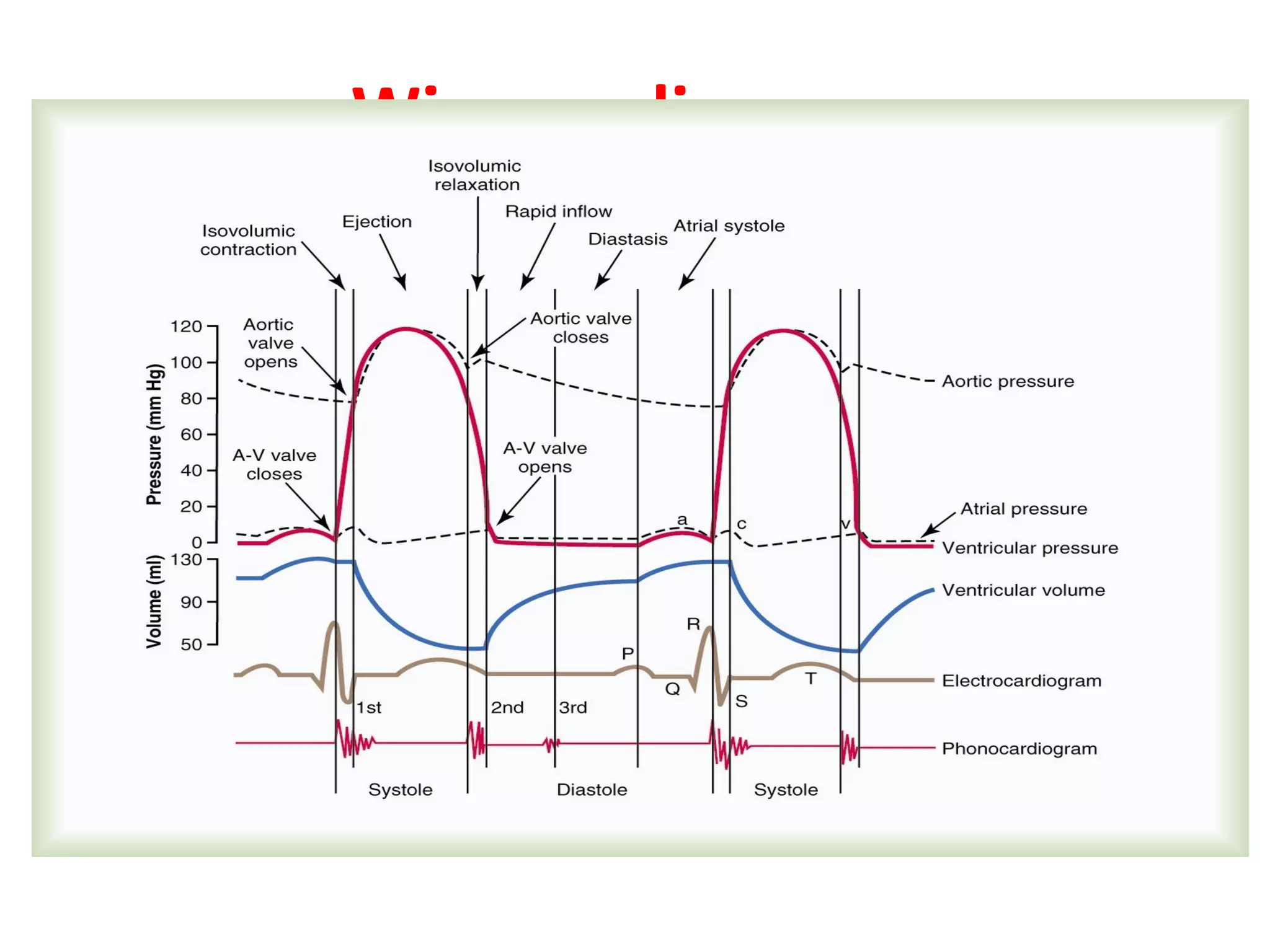 Cardiac cycle physiology_4_dpt | PPT