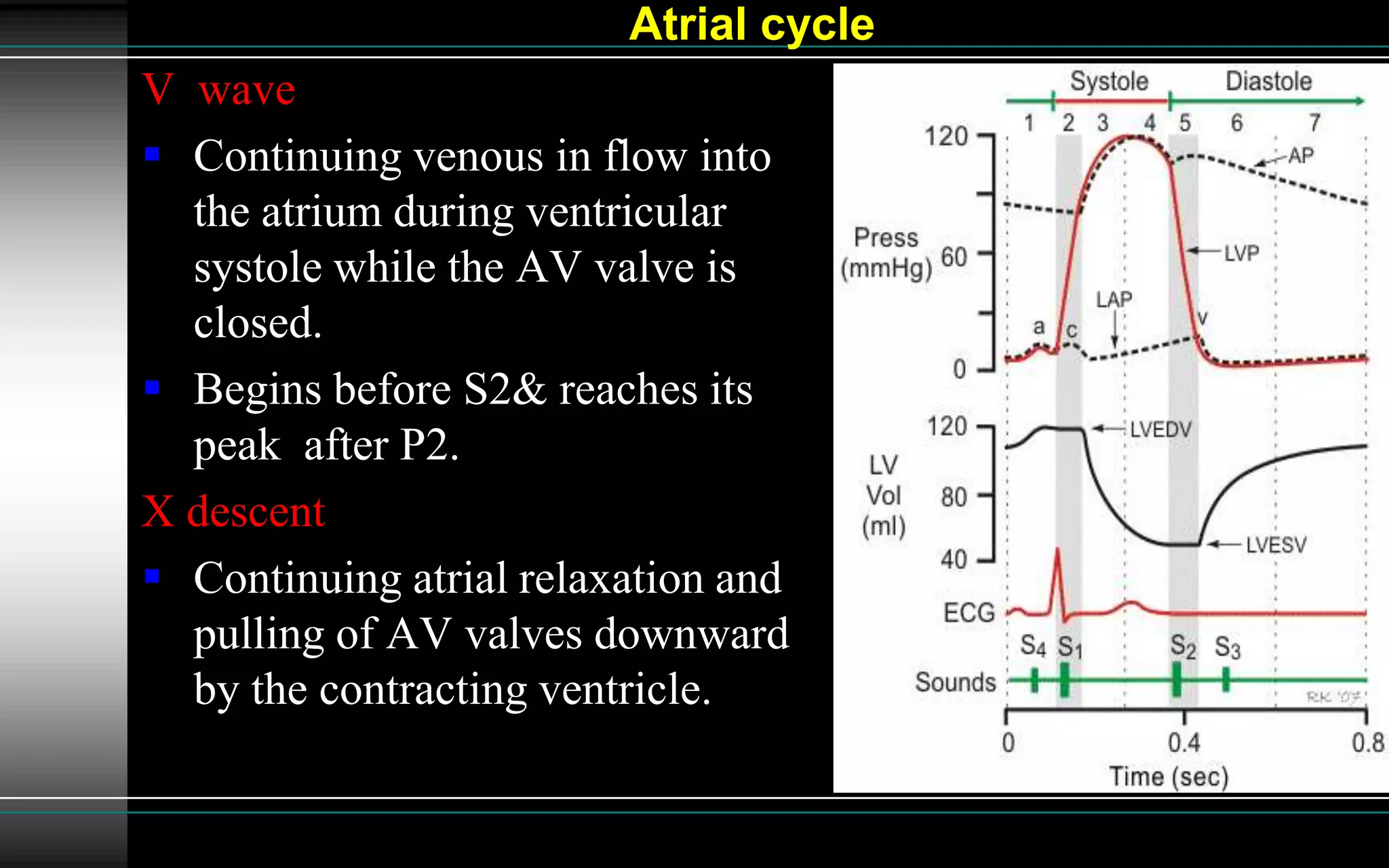 Cardiac cycle & pressure wave forms copy | PPTX