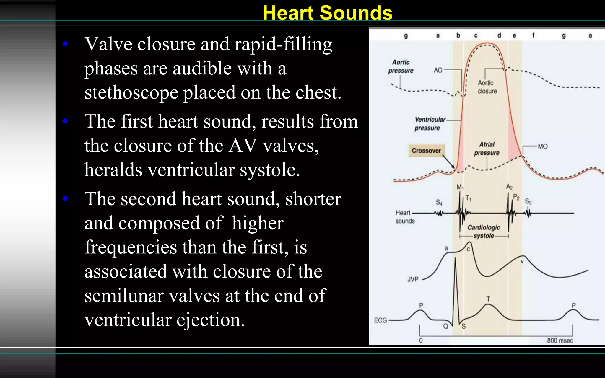 Cardiac cycle & pressure wave forms copy | PPTX