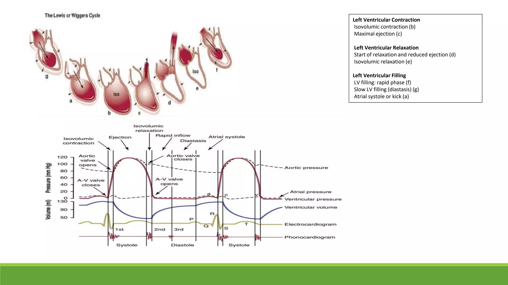 CARDIAC CYCLE Rajesh.pptx