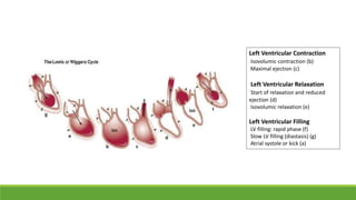 CARDIAC CYCLE Rajesh.pptx