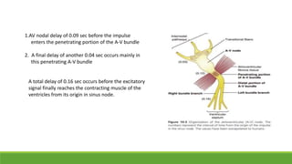 CARDIAC CYCLE Rajesh.pptx