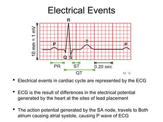Cardiac Cycle and Anaesthetic Implications | PPTX