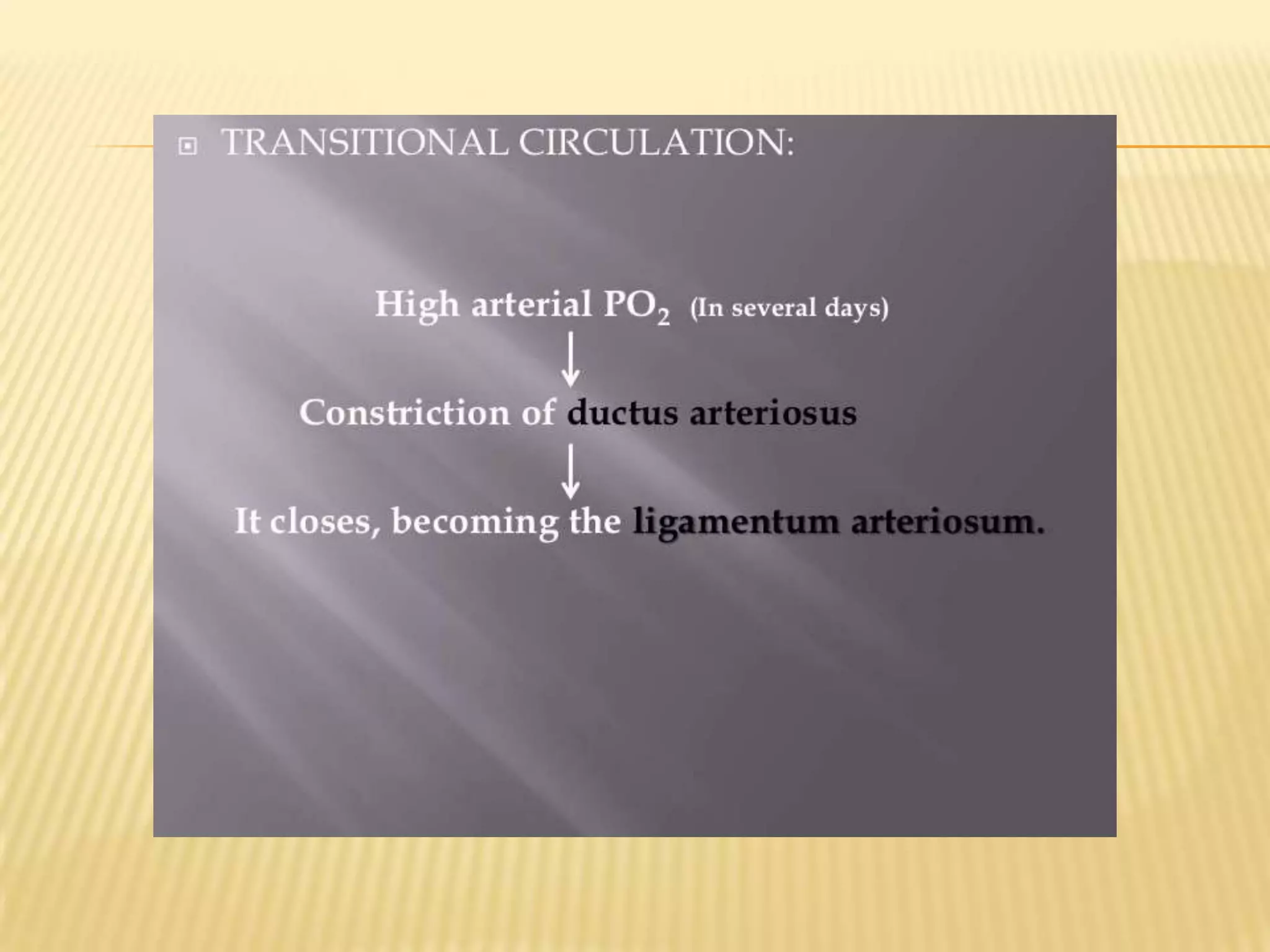 Cardiac development & fetal circulation (2) | PPTX | Heart and ...