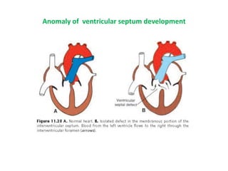 Cardiac development final | PPTX