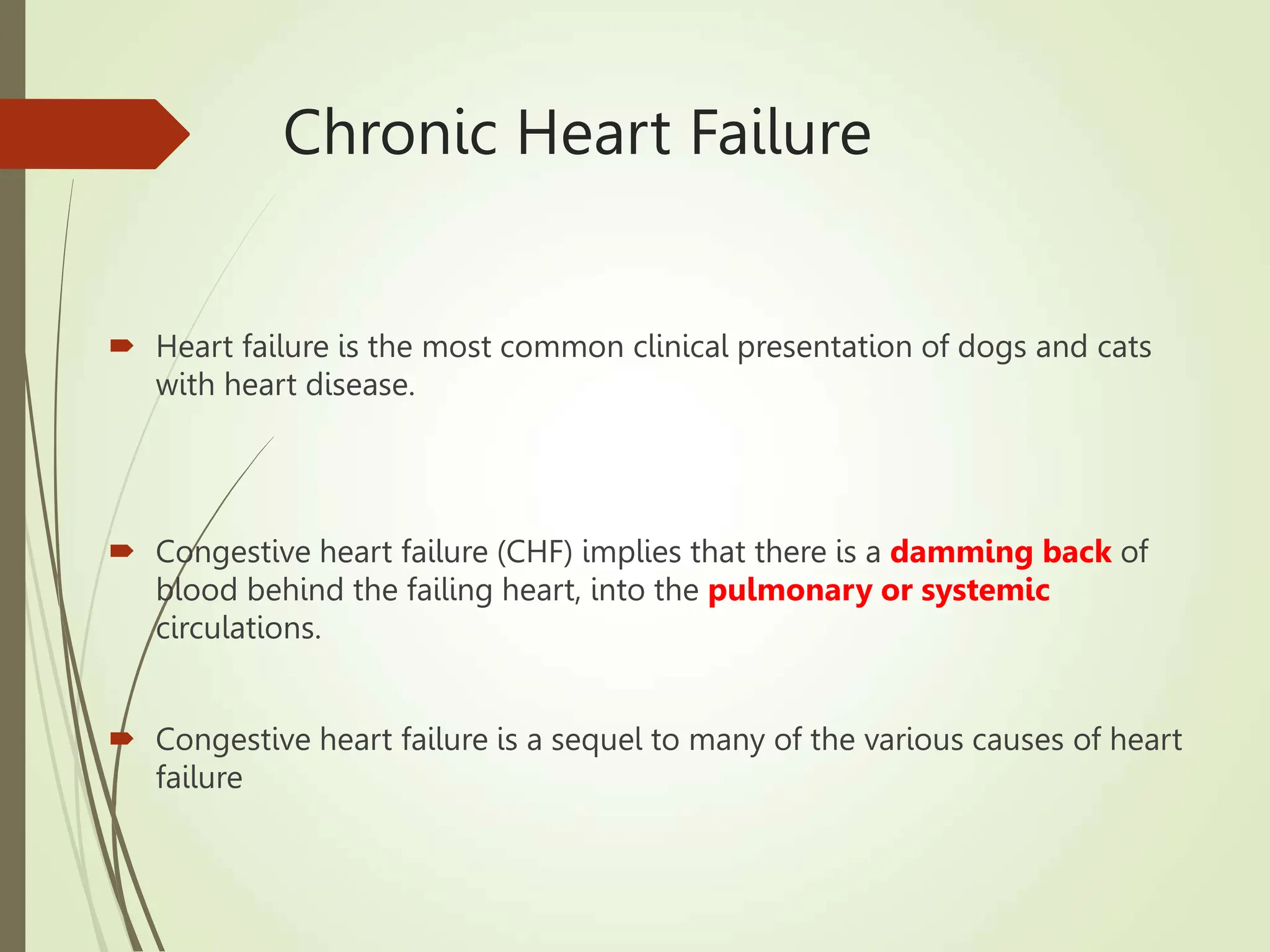 Cardiac_Disease-1.ppt in canine & feline | PPT