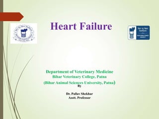 Cardiac_Disease-1.ppt in canine & feline | PPT