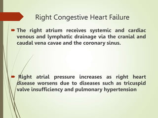 Cardiac_Disease-1.ppt in canine & feline | PPT