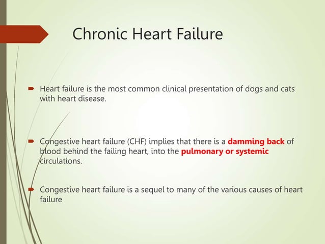 Cardiac_Disease-1.ppt in canine & feline | PPT