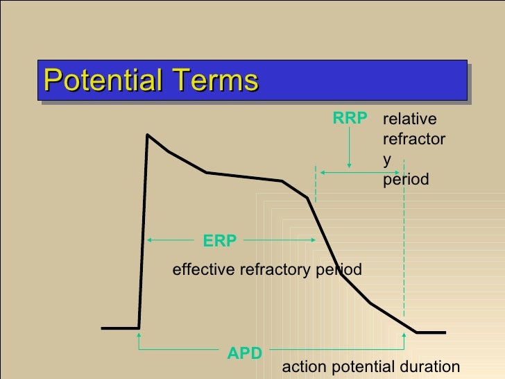 Absolute Refractory Period Vs Effective