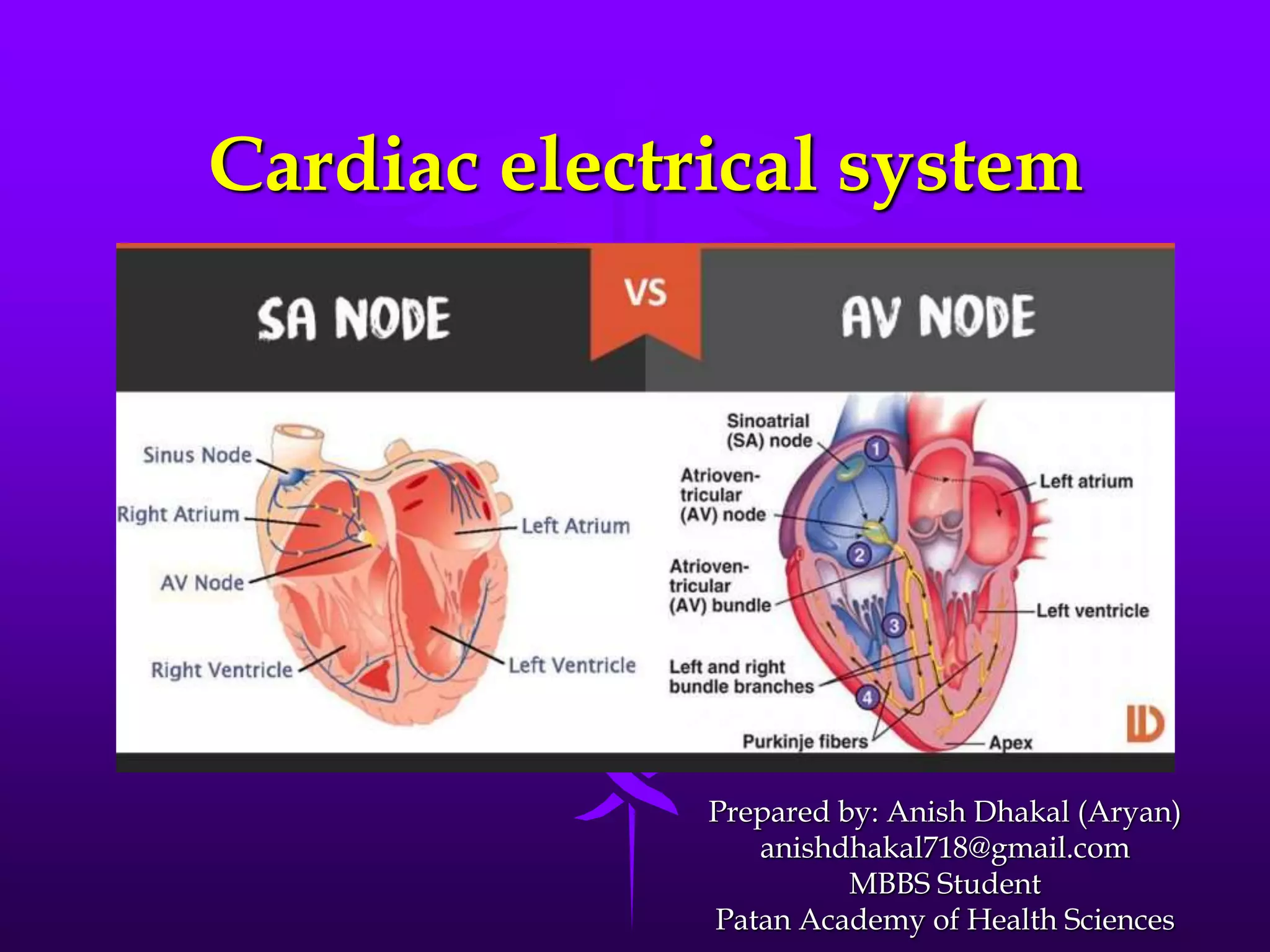 Cardiac electrical system | PPT