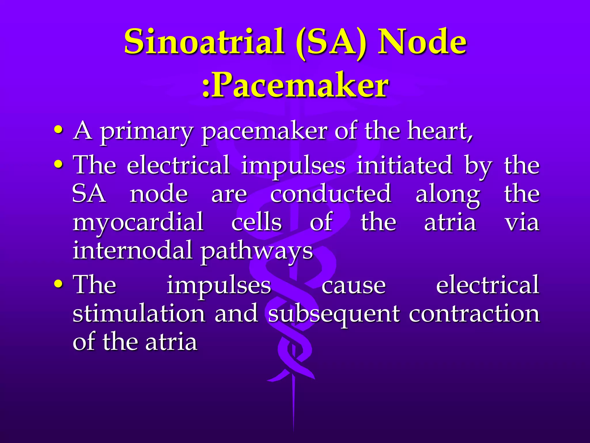 Cardiac electrical system | PPT