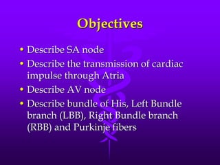 Cardiac electrical system | PPTX