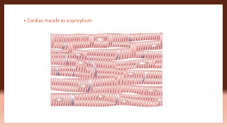 Cardiac electrophysiology | PPTX