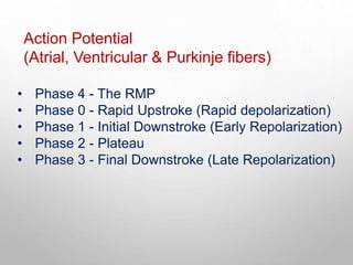 Cardiac electrophysiology by Dr. Vaibhav Yawalkar , MD,DM Cardiology | PPTX