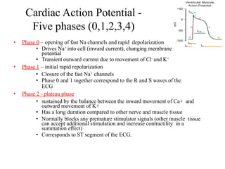 Cardiac electrophysiology | PPTX