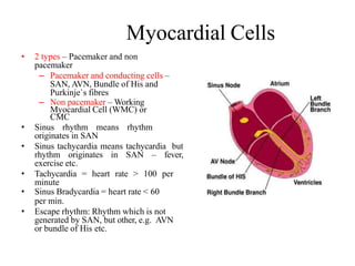 Cardiac electrophysiology | PPTX