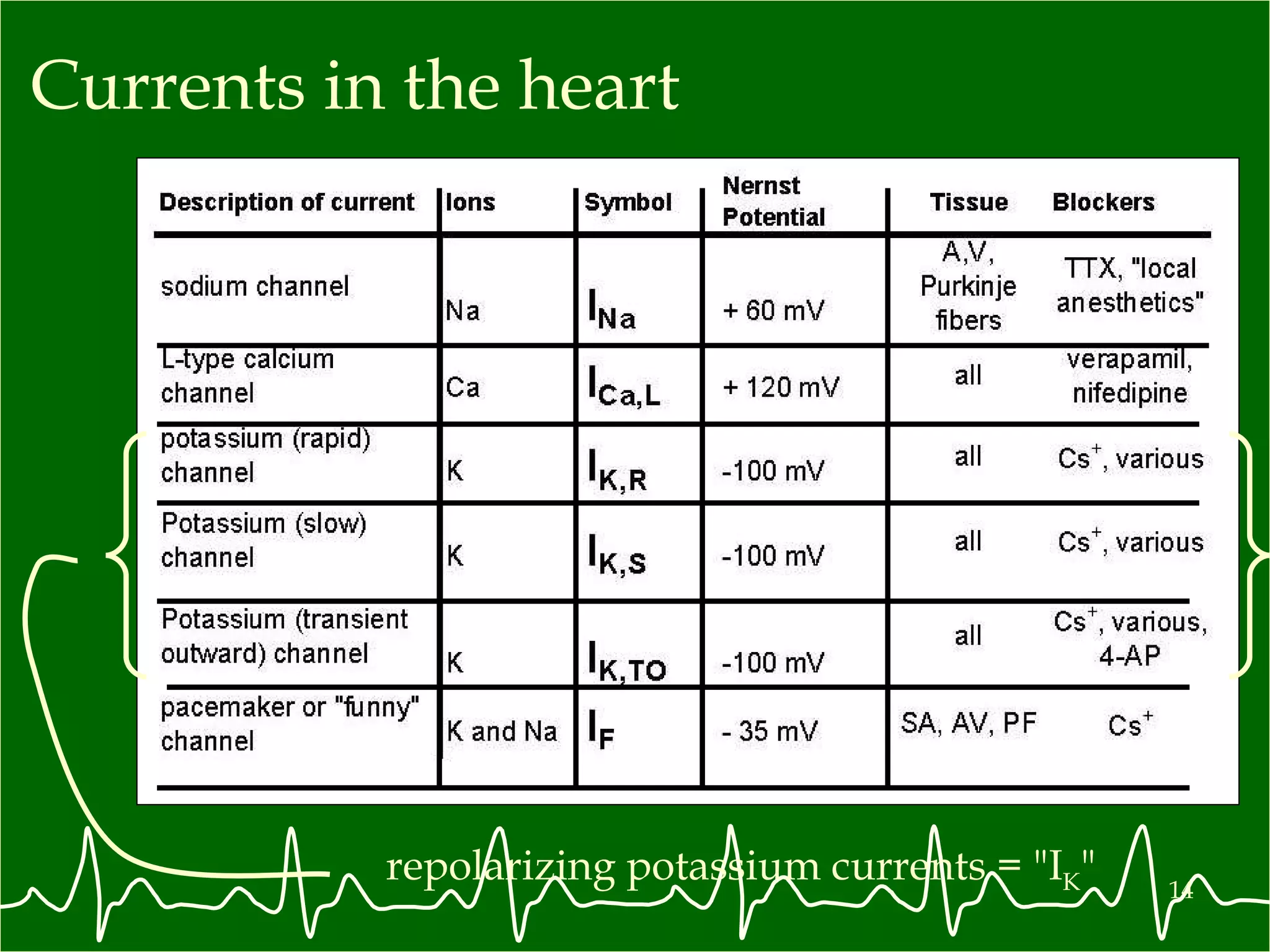 Cardiac+Electrophysiology | PPT