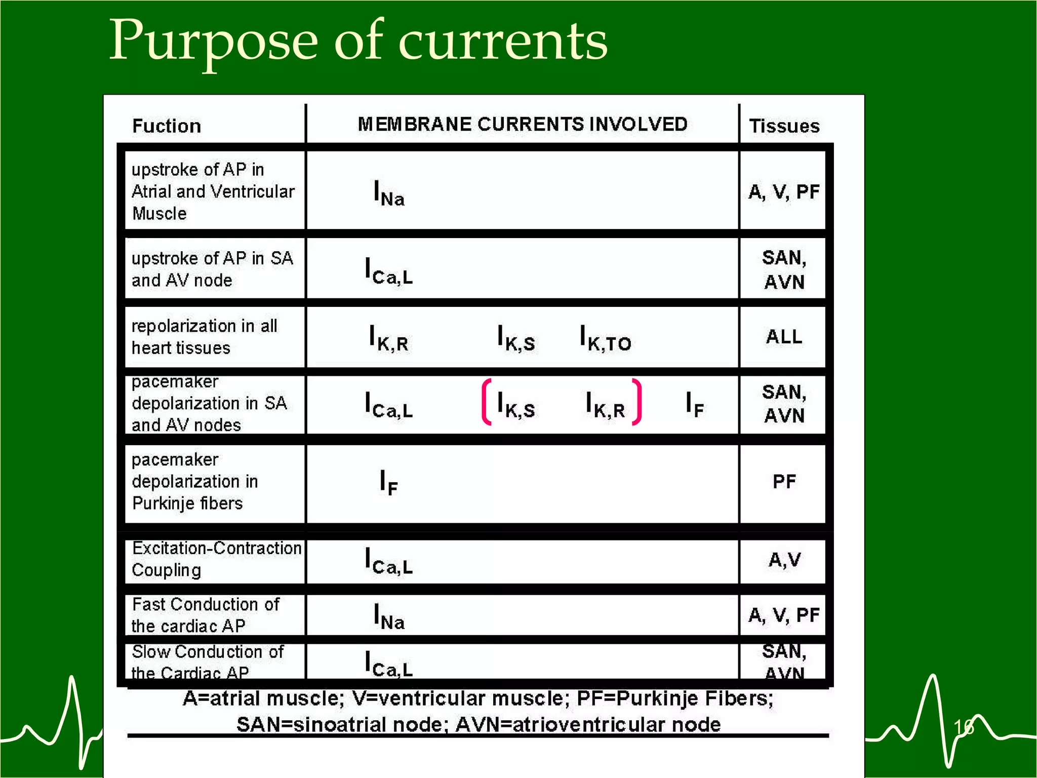 Cardiac+Electrophysiology | PPT