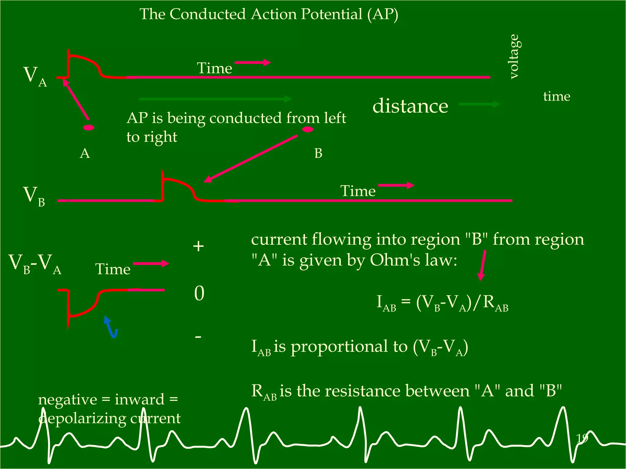 Cardiac+Electrophysiology | PPT