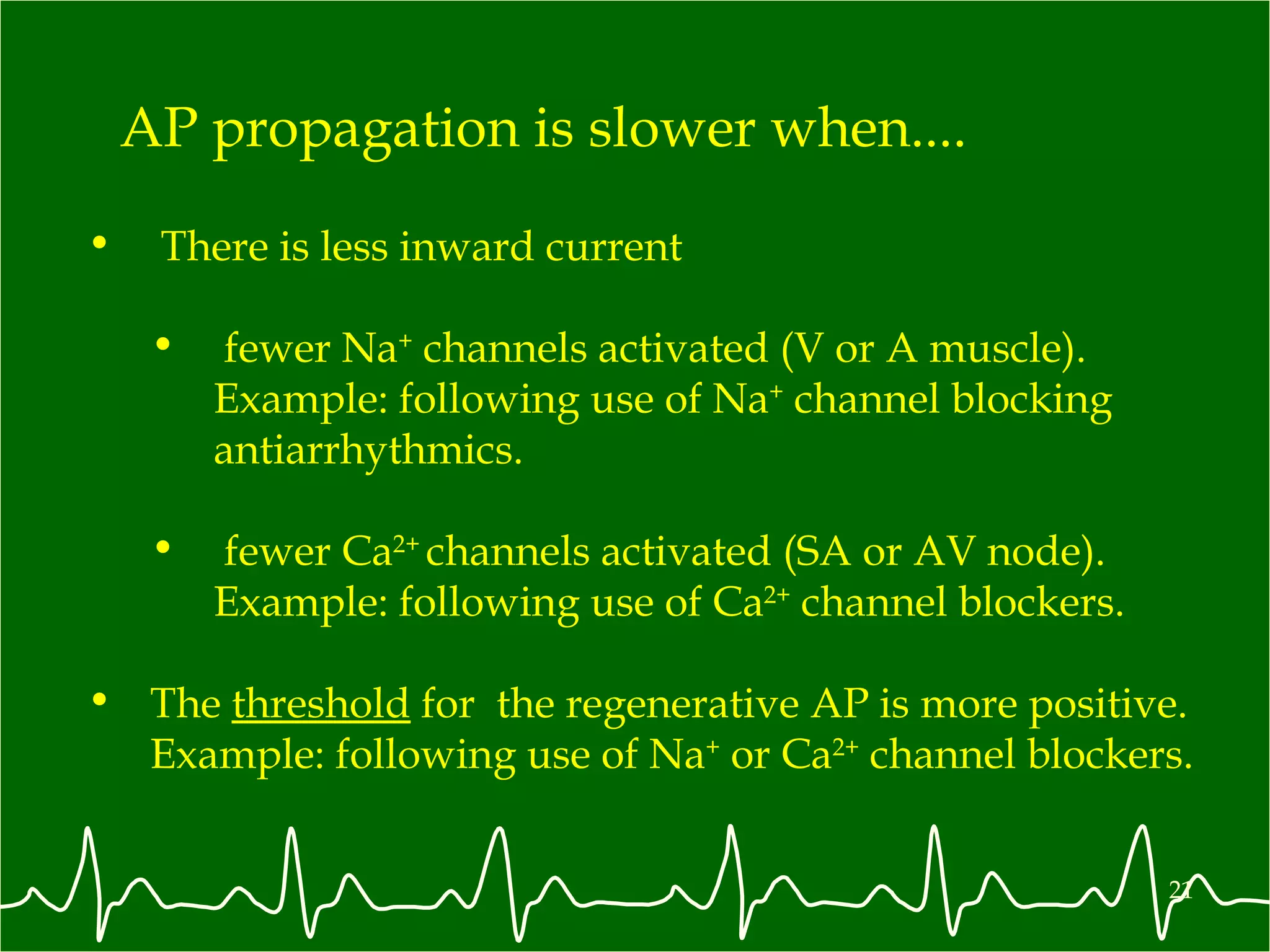 Cardiac+Electrophysiology | PPT