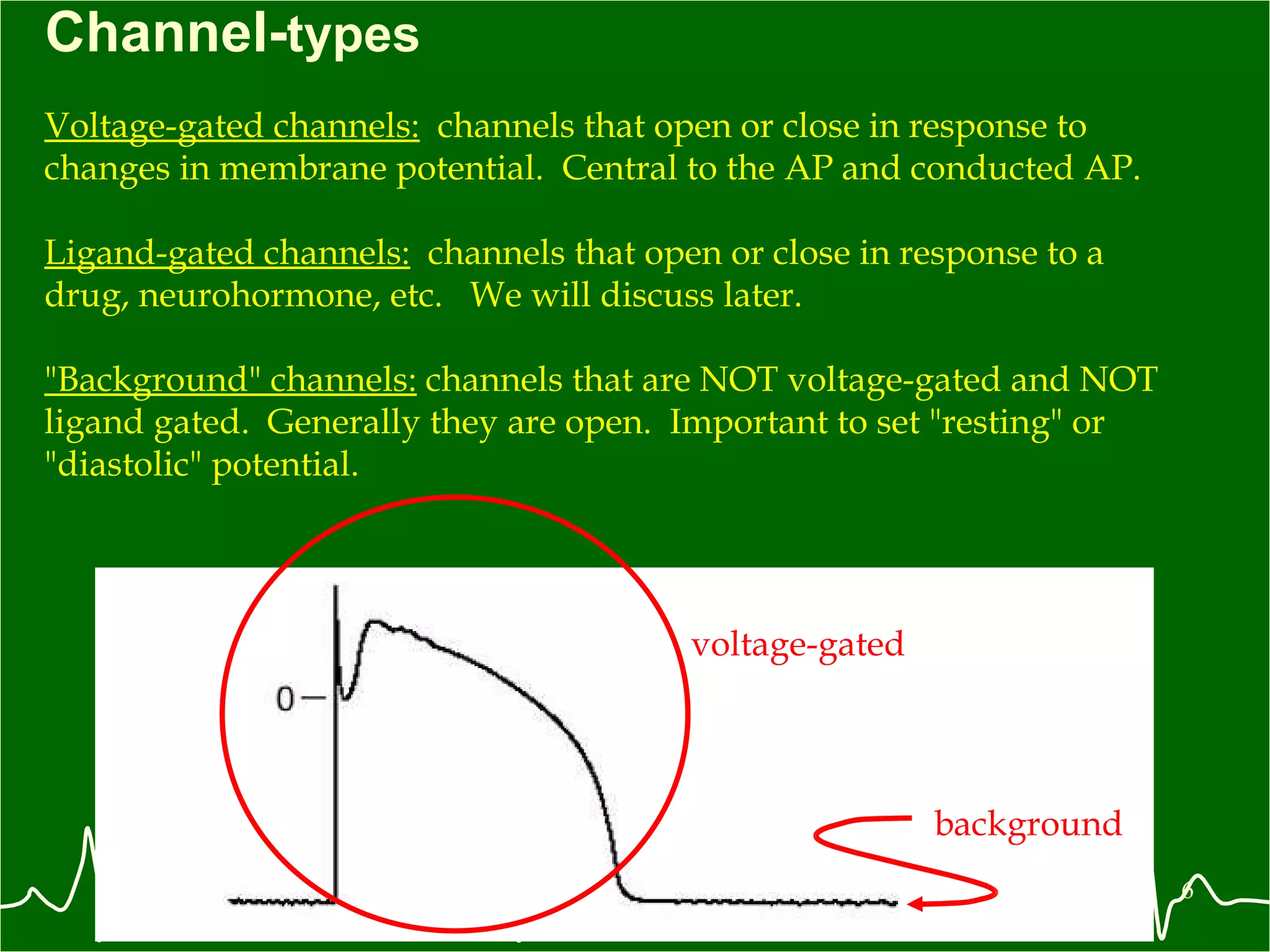 Cardiac+Electrophysiology | PPT