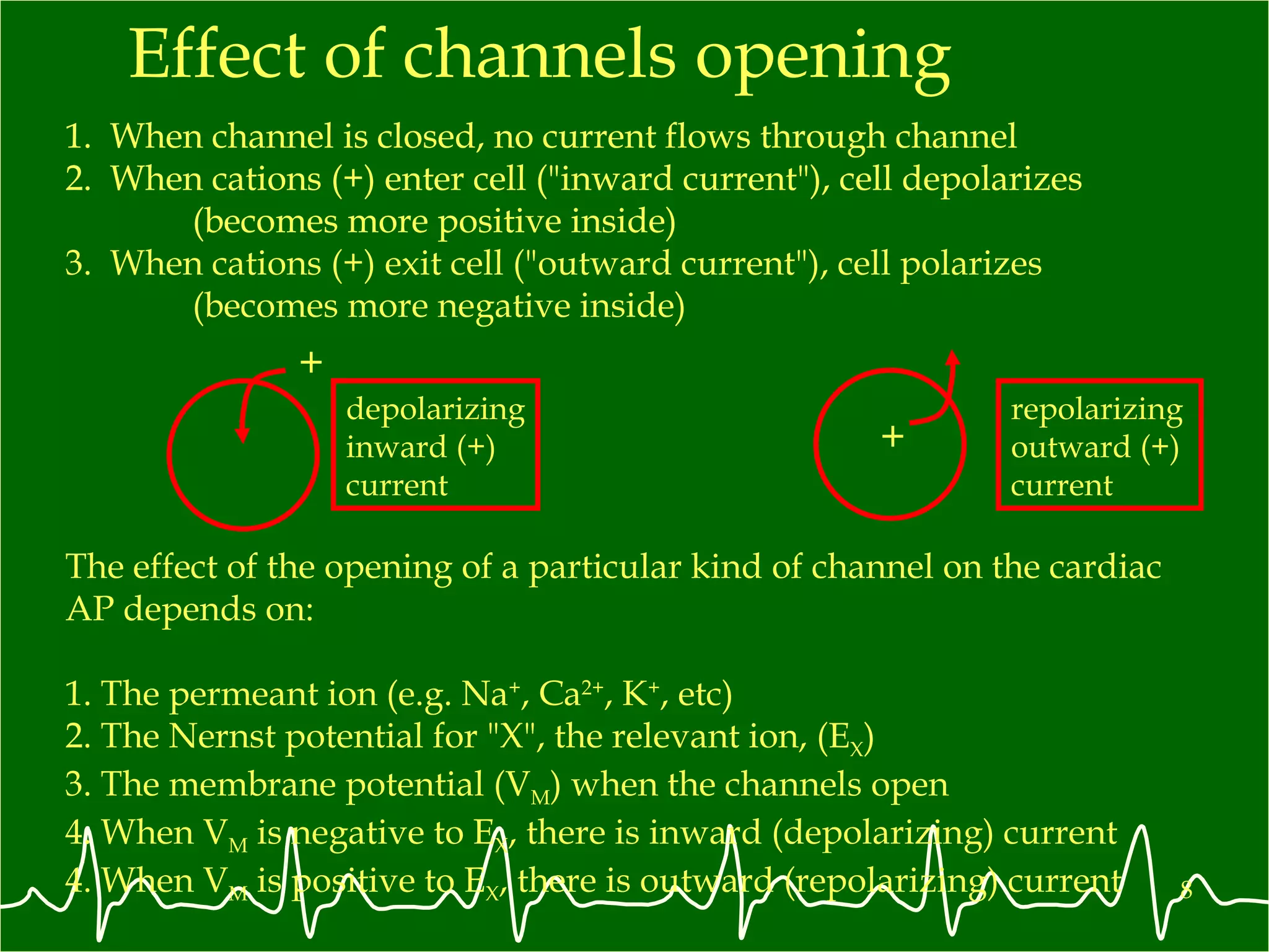Cardiac+Electrophysiology | PPT