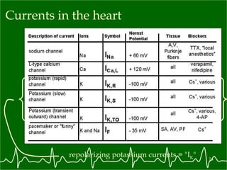 Cardiac+Electrophysiology | PPT