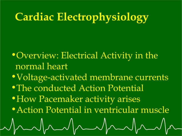 Cardiac+Electrophysiology | PPT | Heart and Cardiovascular Diseases ...