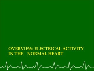 Cardiac+Electrophysiology | PPT