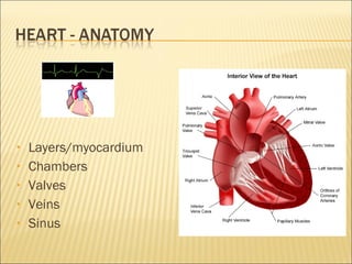 Cardiac electrophysiology and pharmacology - drdhriti | PPTX