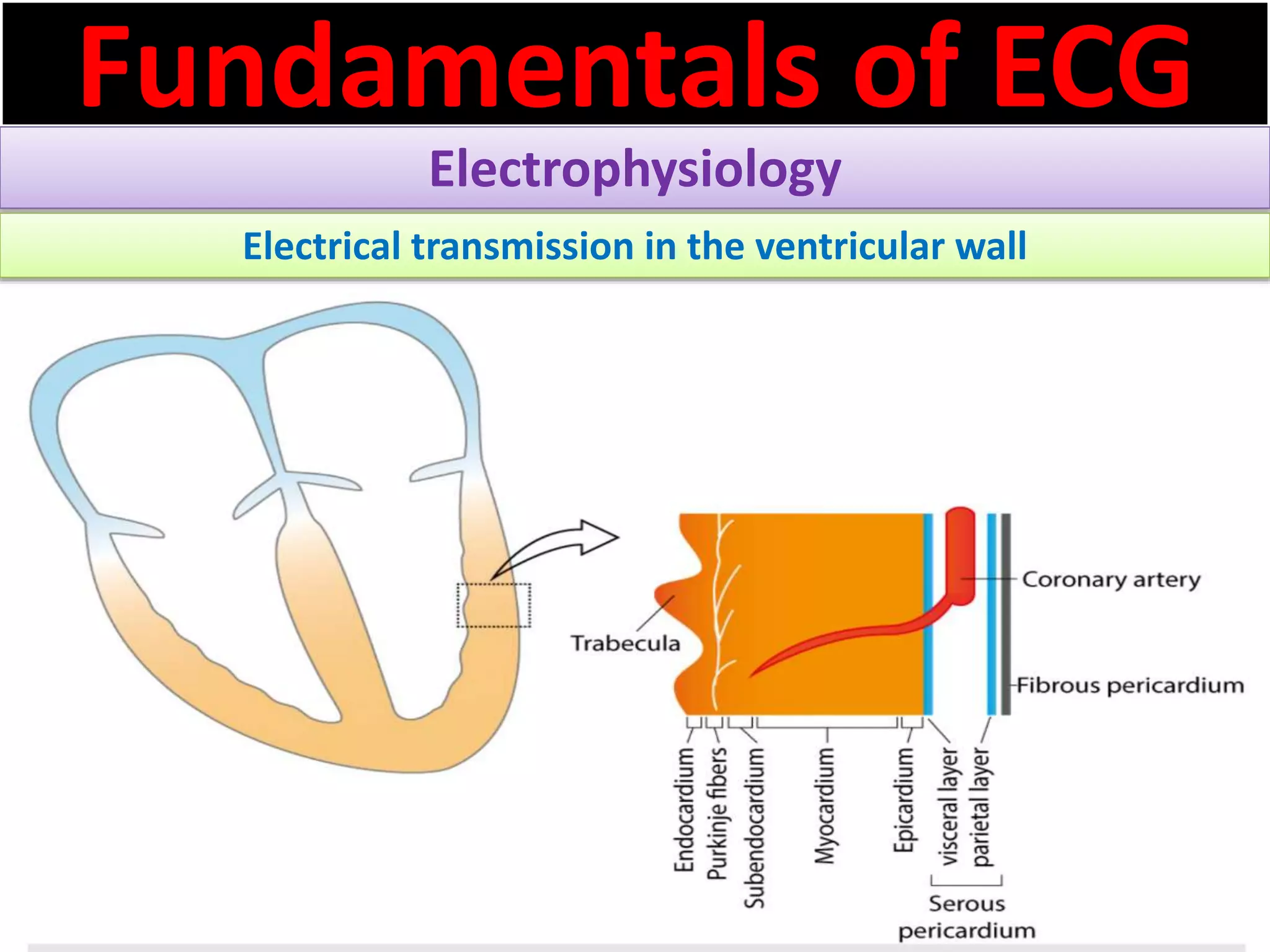 Cardiac electrophysiology master class | PPSX