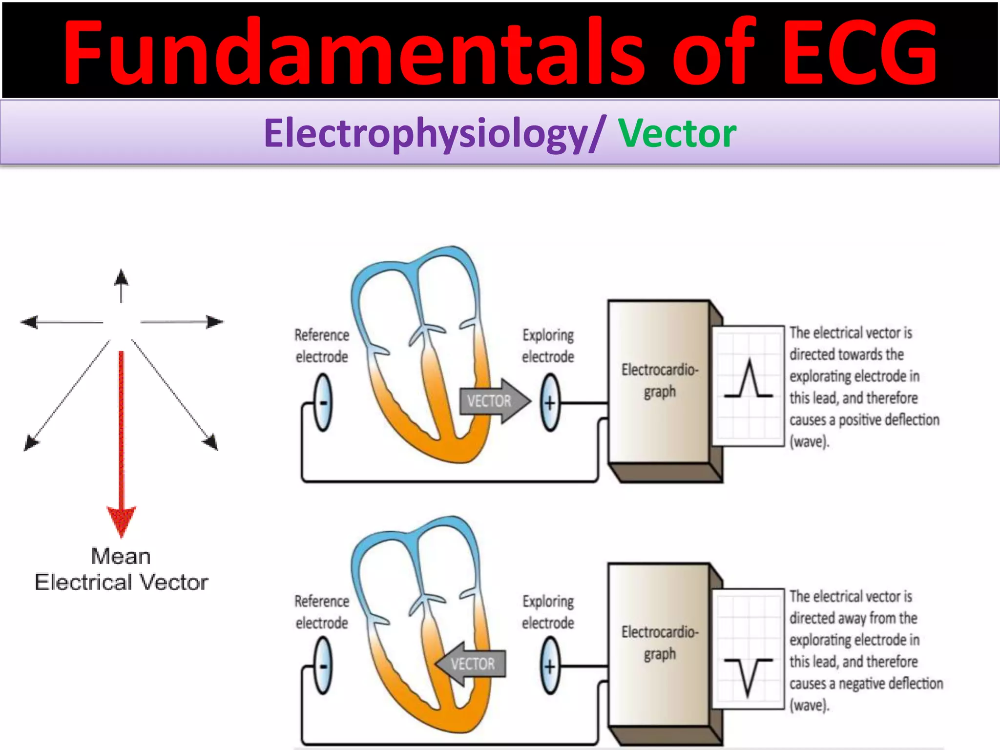 Cardiac electrophysiology master class | PPSX