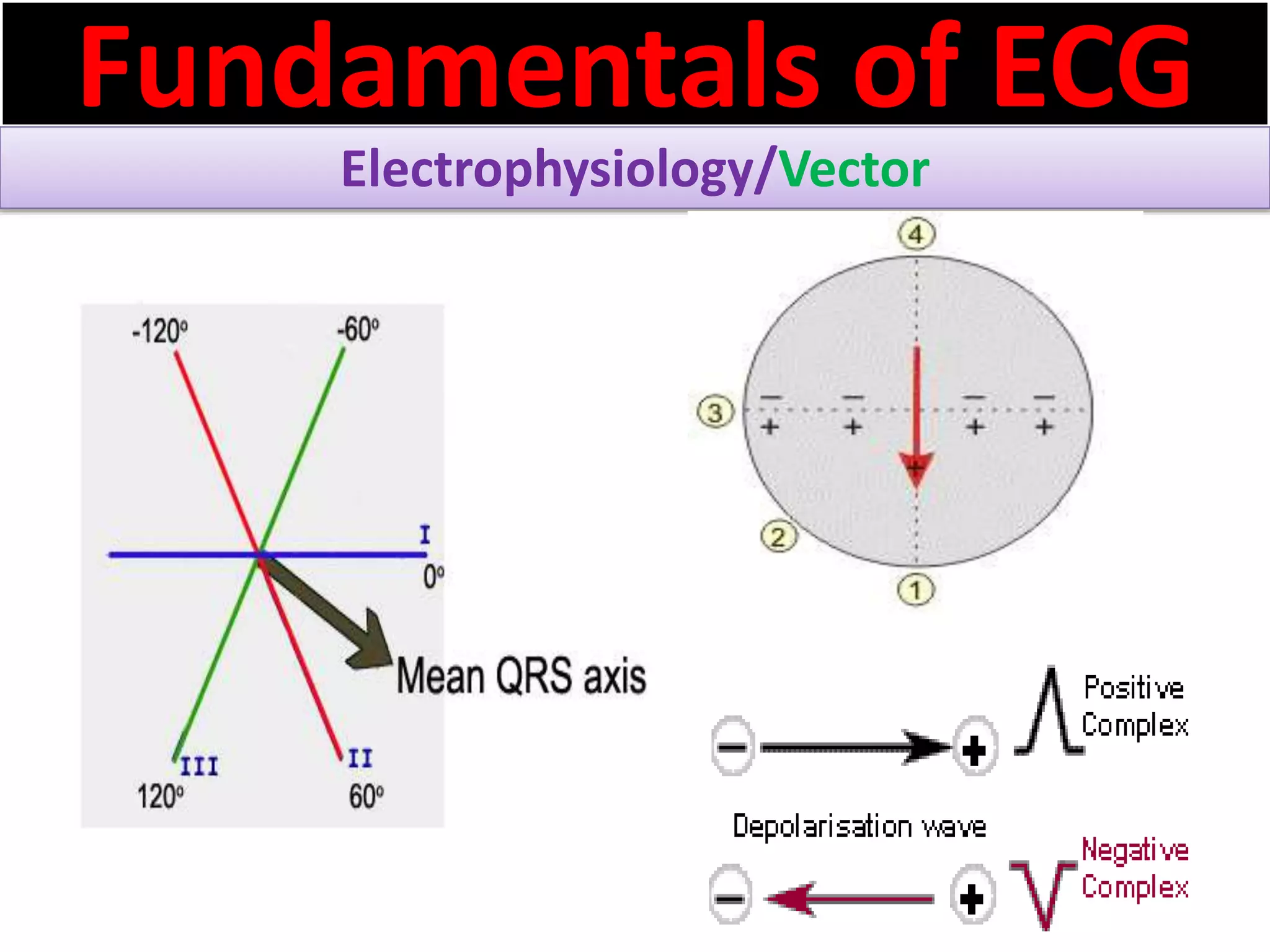 Cardiac electrophysiology master class | PPSX
