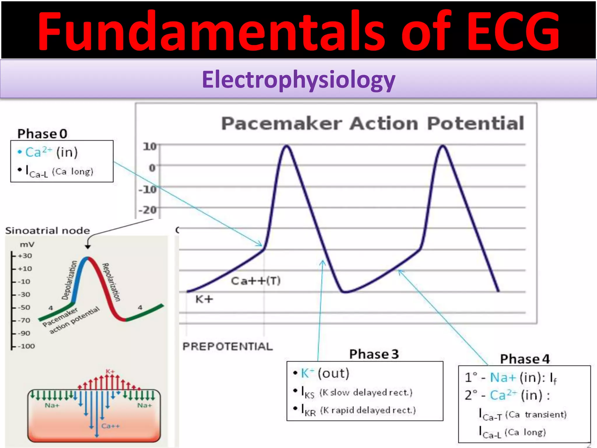 Cardiac electrophysiology master class | PPSX