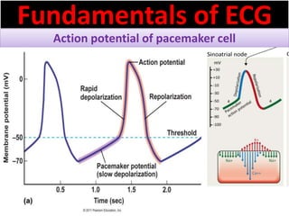 Cardiac electrophysiology master class | PPSX