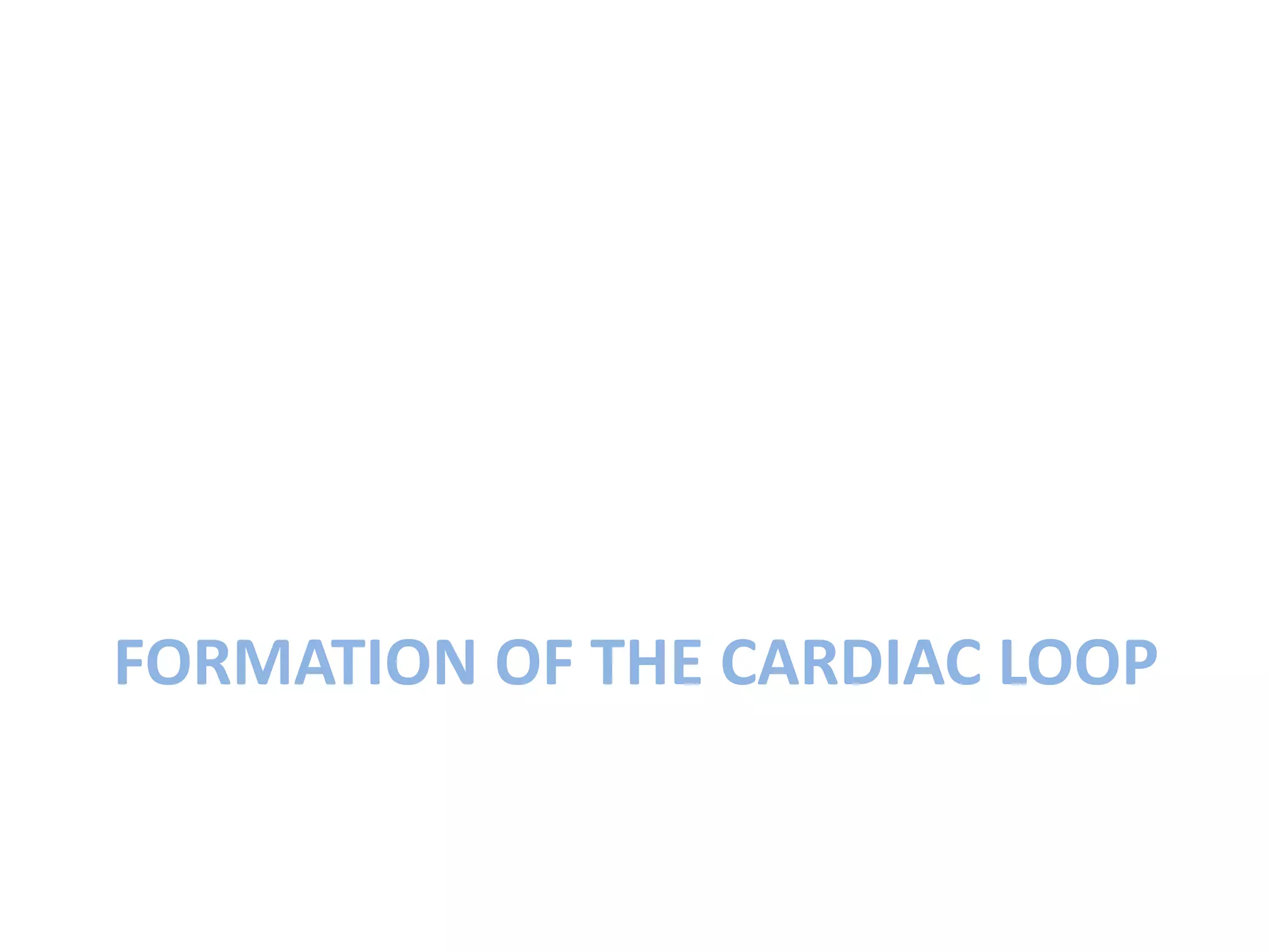 Cardiac embryology | PPTX