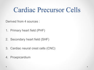 Cardiac Embryology basics.pptx