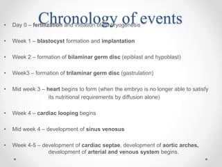 Cardiac Embryology basics.pptx