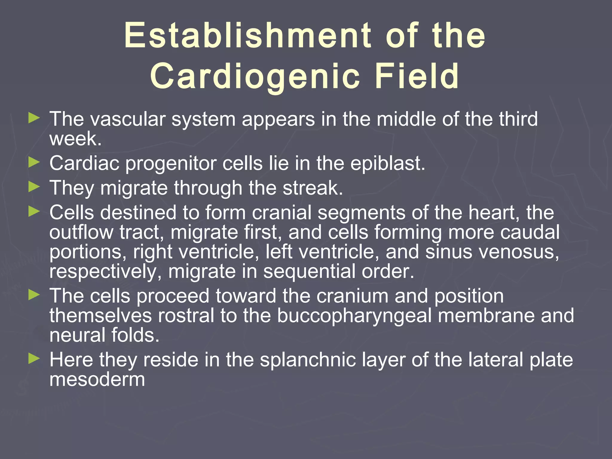 Cardiac embryology seminar copy | PPT