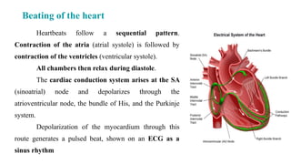 Cardiac Emergencies | PPTX