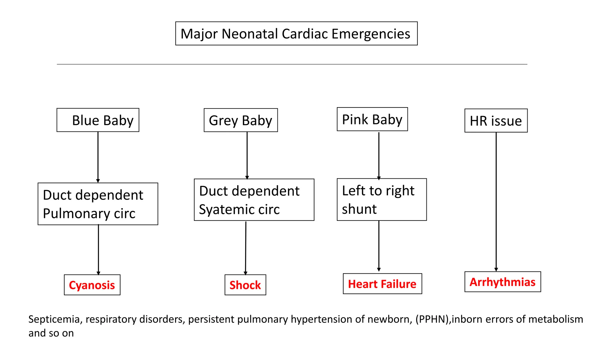 Cardiac emergencies or screening in neonate.pptx