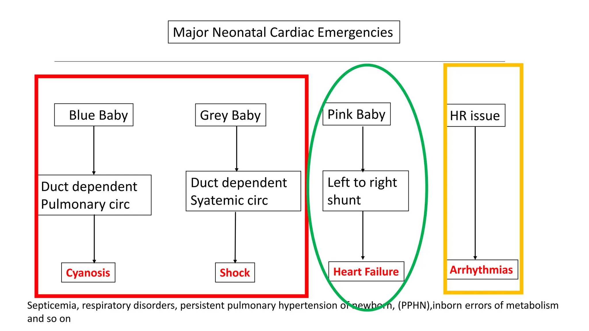 Cardiac emergencies or screening in neonate.pptx