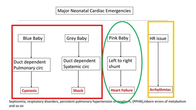 Cardiac emergencies or screening in neonate.pptx