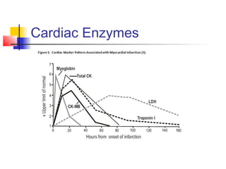 Cardiac enzymes | PPT